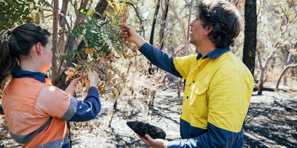 🌳 Diagnostic écologique : Définition, procédure, outils, etc.